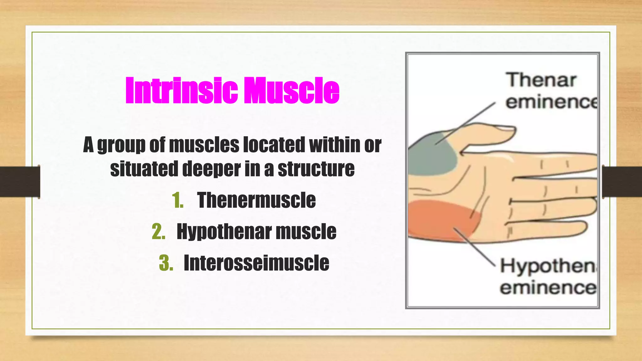 Hypothenar by Hadiuzzaman .pptx