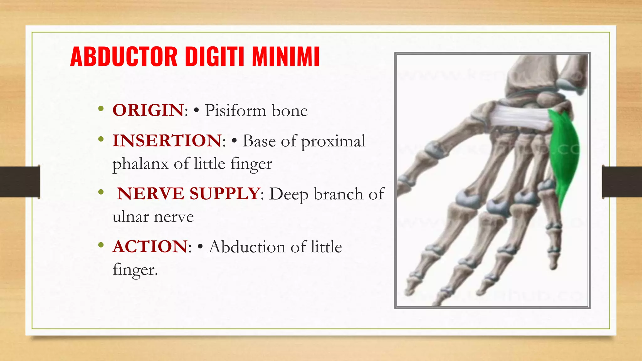 Hypothenar by Hadiuzzaman .pptx