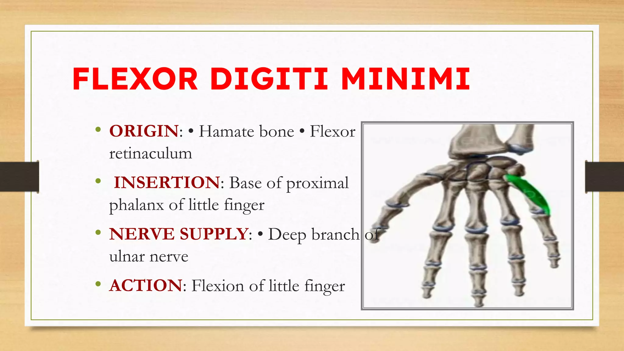 Hypothenar by Hadiuzzaman .pptx