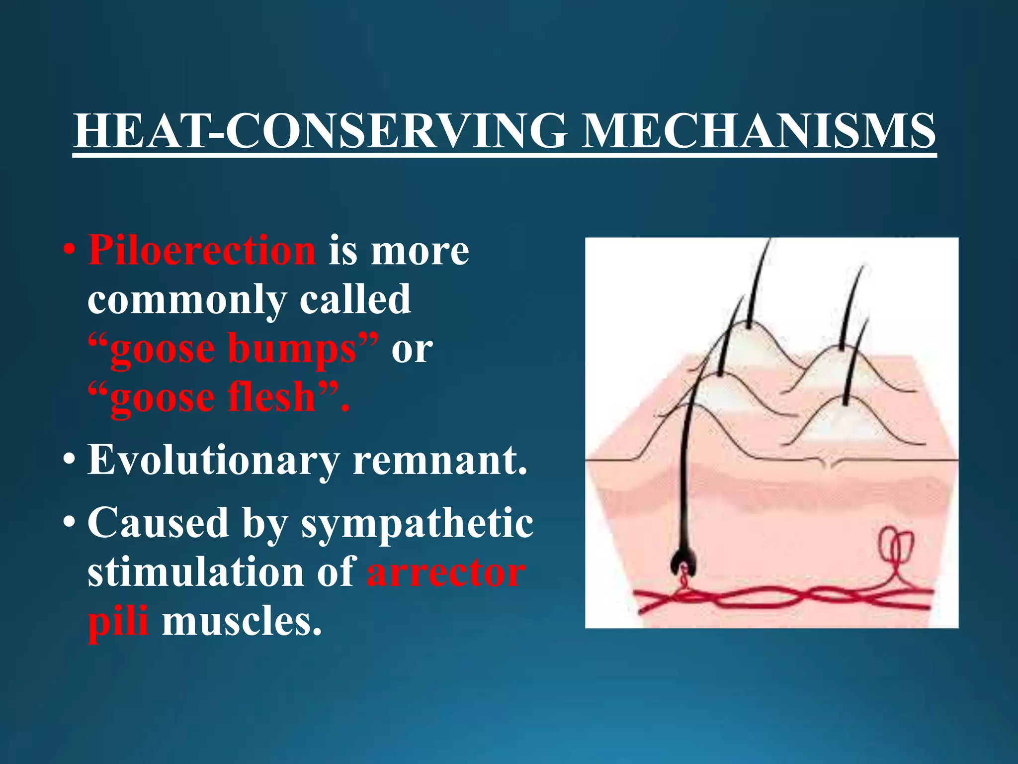 Hypothermia in Trauma Victims:- complication and its prevention | PPTX