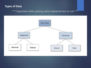 Hypothesis Testing | PPT
