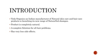 Hypothetical brand and its strategy. | PPTX