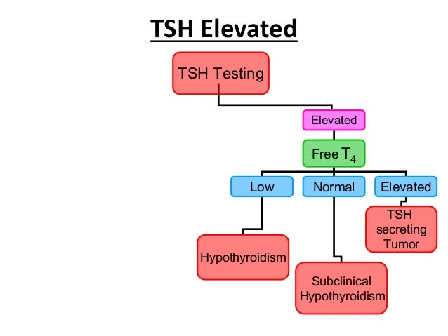 Elevated Tsh