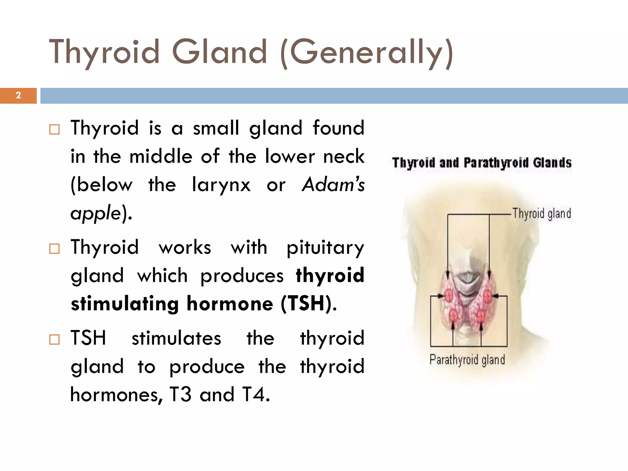 Hypothyroidism | PDF