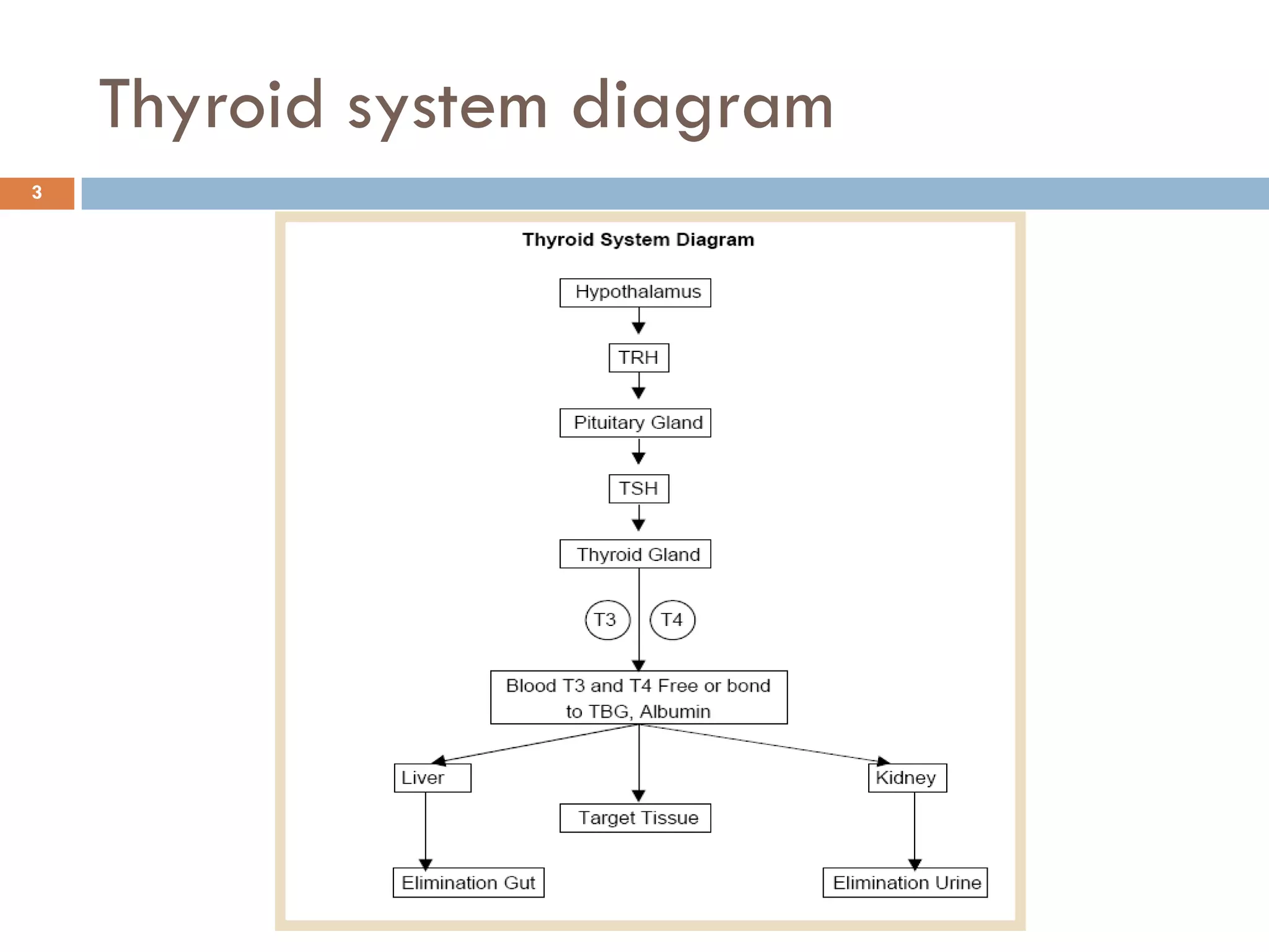 Hypothyroidism | PDF