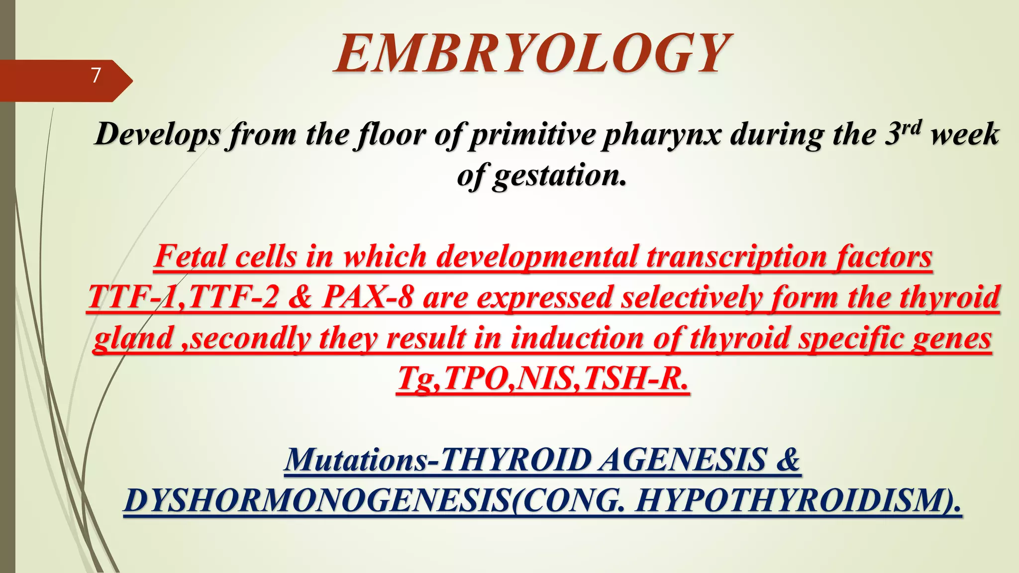 Thyroid and its pathology (Hypothyroidism). | PPTX | Thyroid Disorders | Endocrine and Metabolic ...