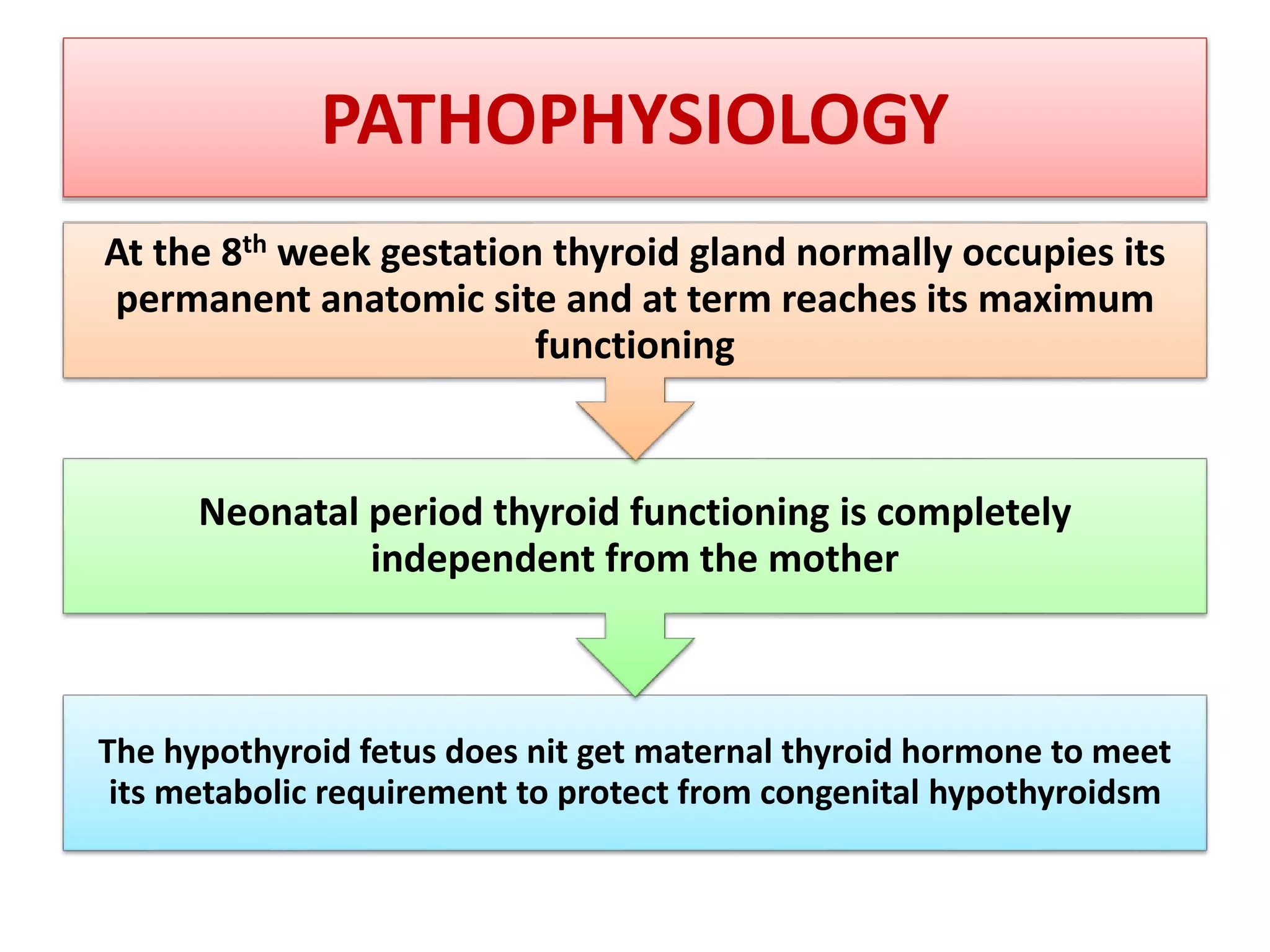 Hypothyroidism in children | PPTX