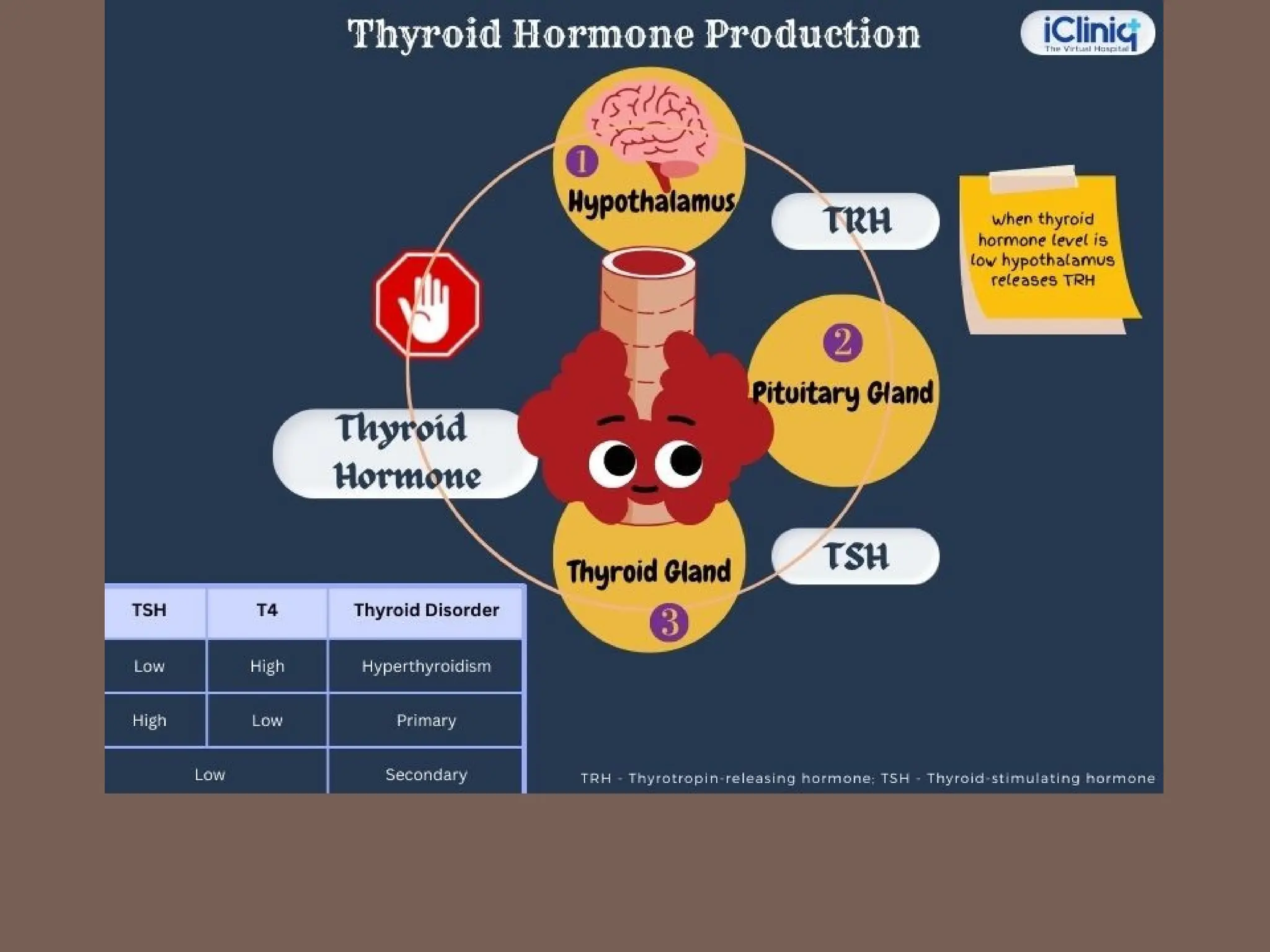 Hypothyroidism - 2024 basic slides for doctor pptx | PPT