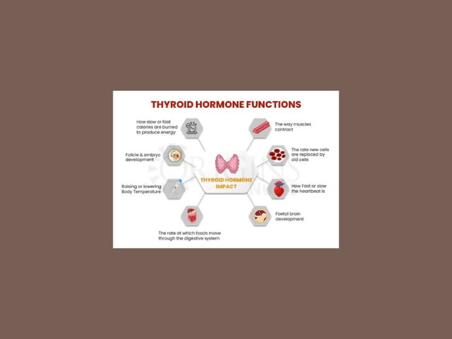 Hypothyroidism - 2024 basic slides for doctor pptx | PPT