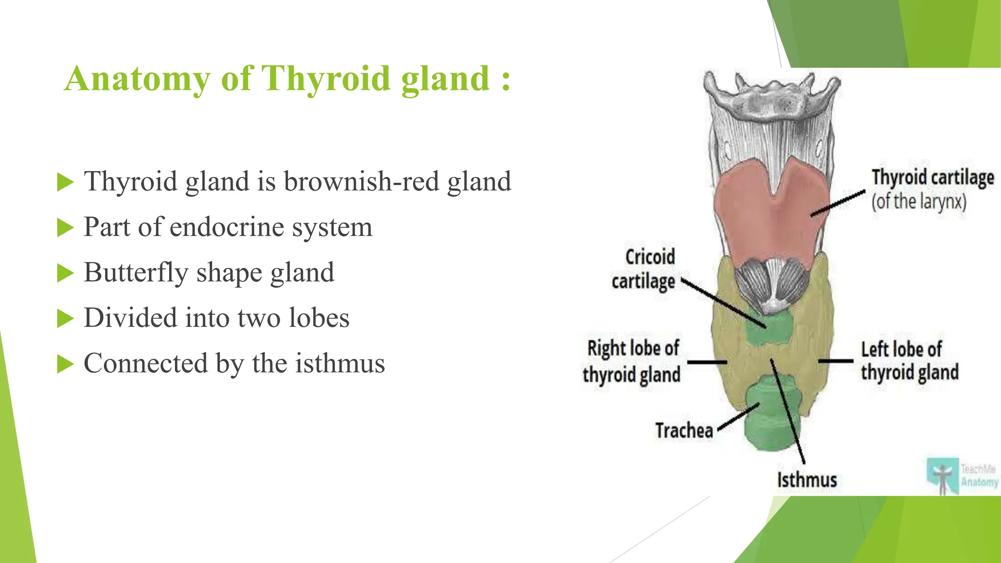 Hypothyroidism ppt by Aleena Mazhar.pptx
