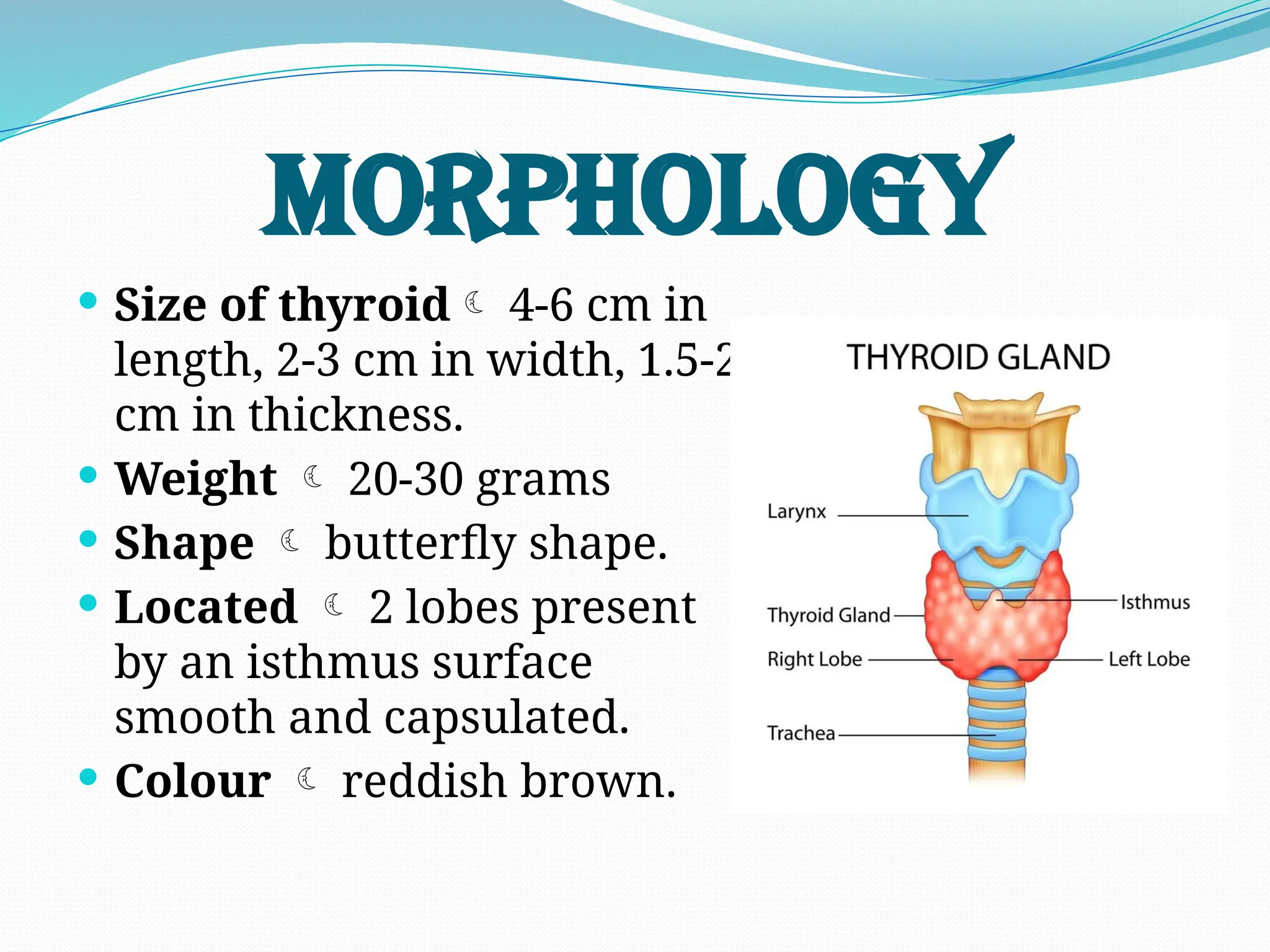 Hypothyroidism results from decrease thyroid hormone production.pptx