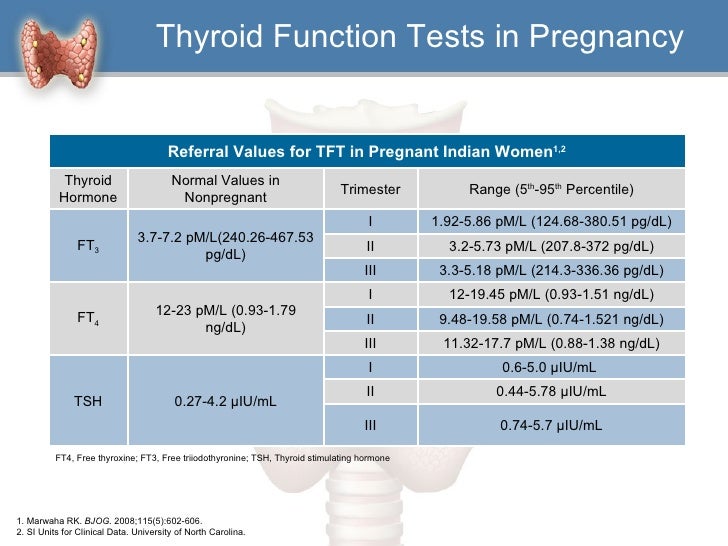 What Is The Normal Range For A Blood Thyroid Test What Is The Normal Range For A Blood Thyroid Test