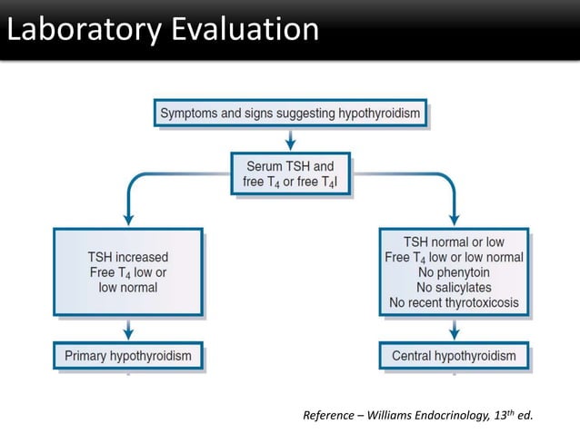 Hypothyroidism case presentation | PPTX | Thyroid Disorders | Endocrine and Metabolic Diseases