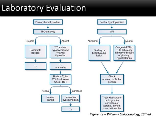 Hypothyroidism case presentation | PPTX | Thyroid Disorders | Endocrine ...