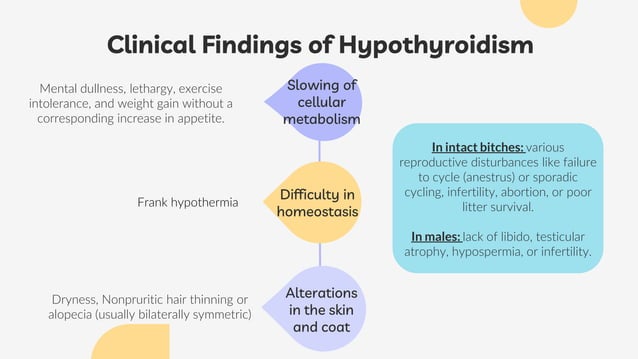 Hypothyroidism in Animals.pptx