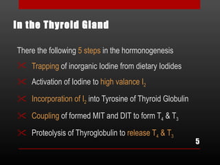 Thyroid physiology & Hypothyroidism | PPT