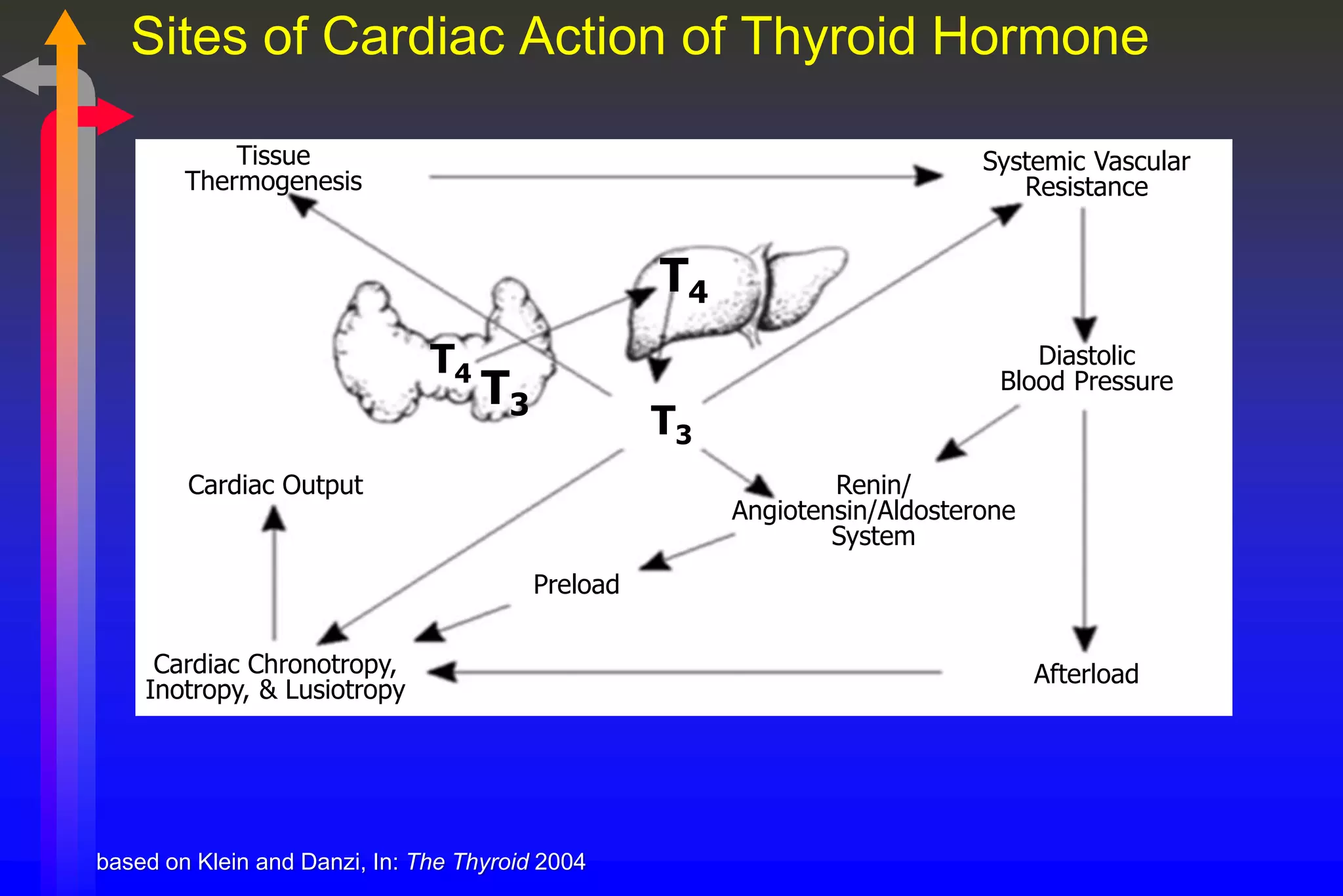 Clinical Practice Guidelines for hypothyroidism in adults: AACE and ATA ...