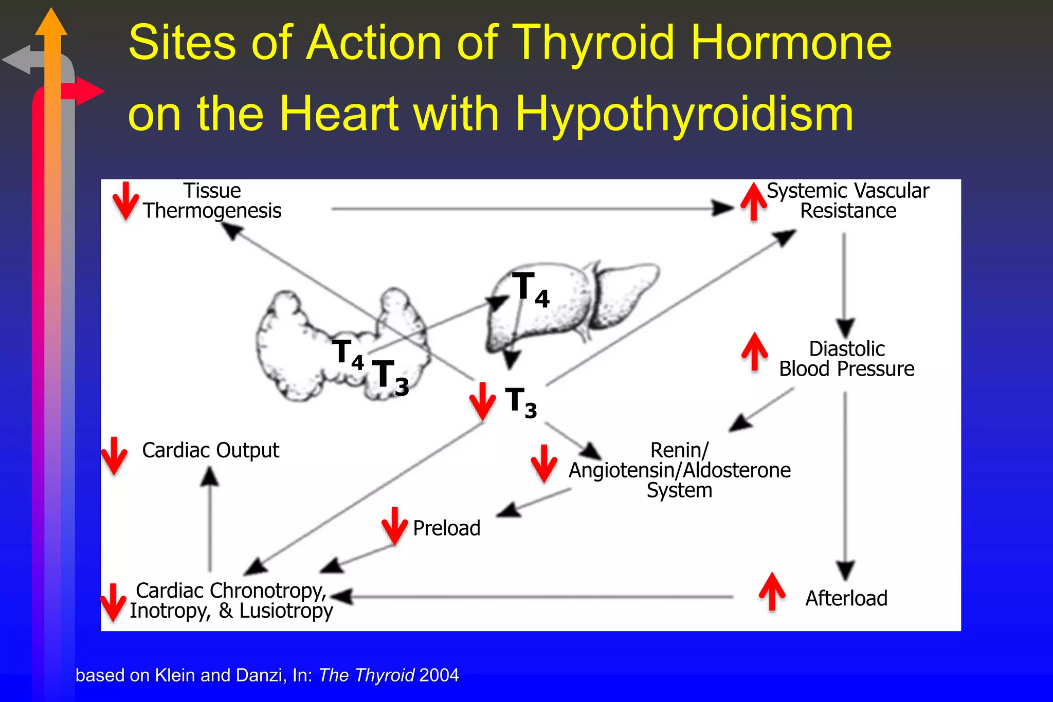 Clinical Practice Guidelines for hypothyroidism in adults: AACE and ATA ...