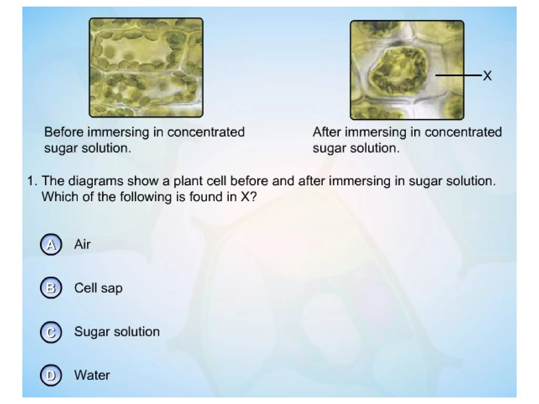 CHAPTER 3 : 2. Hypotonic, Hypertonic and Isotonic Solutions | PPT
