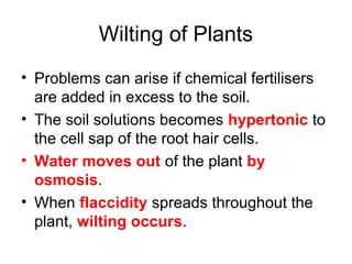 CHAPTER 3 : 2. Hypotonic, Hypertonic and Isotonic Solutions | PPT