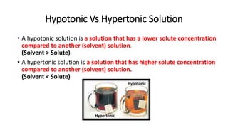 Hypotonic Vs Hypertonic Solution.pptx | Chemistry | Science