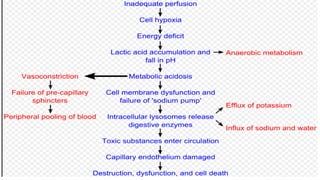 hypovolemic ang cardiogenic shock FINAL.pptx