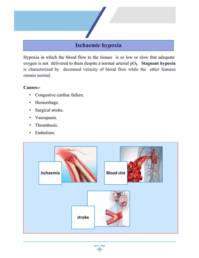 Hypoxia | PDF | Blood Disorders | Diseases and Conditions