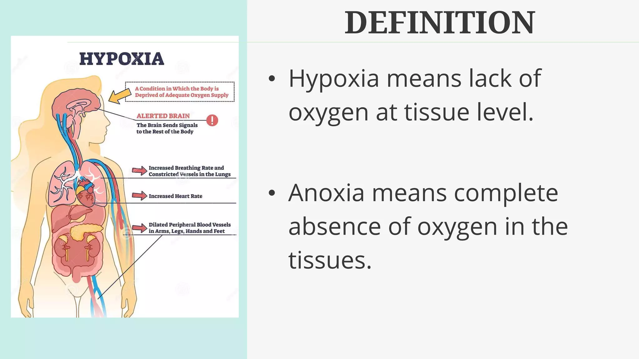 Hypoxia.pptx