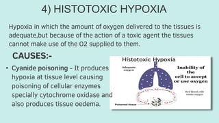 Hypoxia.pptx