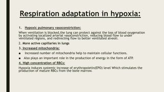 A detailed mechanism of hypoxia, Physiology | PPTX