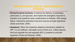Hypoxia: Its Physiology and Pathophysiology | PPTX