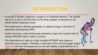 Hypoxia: Its Physiology and Pathophysiology | PPTX
