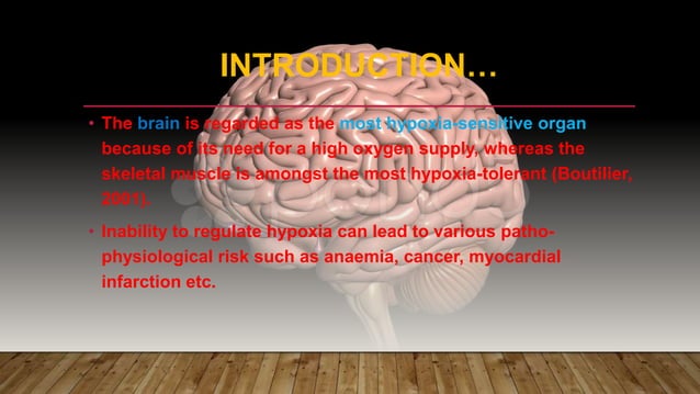 Hypoxia: Its Physiology and Pathophysiology | PPTX | Blood Disorders ...
