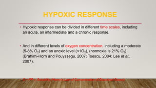 Hypoxia: Its Physiology and Pathophysiology | PPTX | Blood Disorders ...