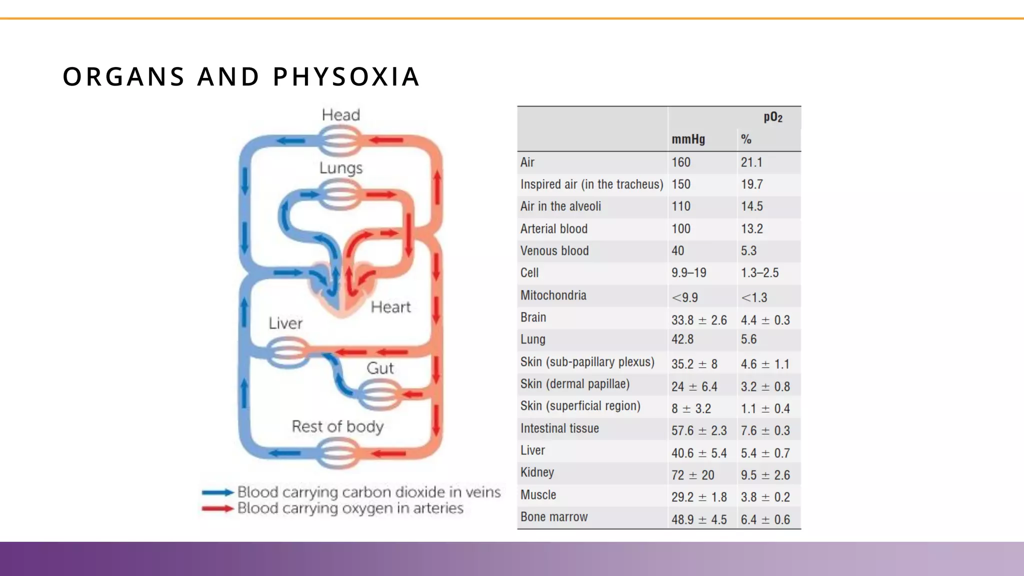 What is hyperoxia, normoxia and hypoxia to cells: Why researchers ...