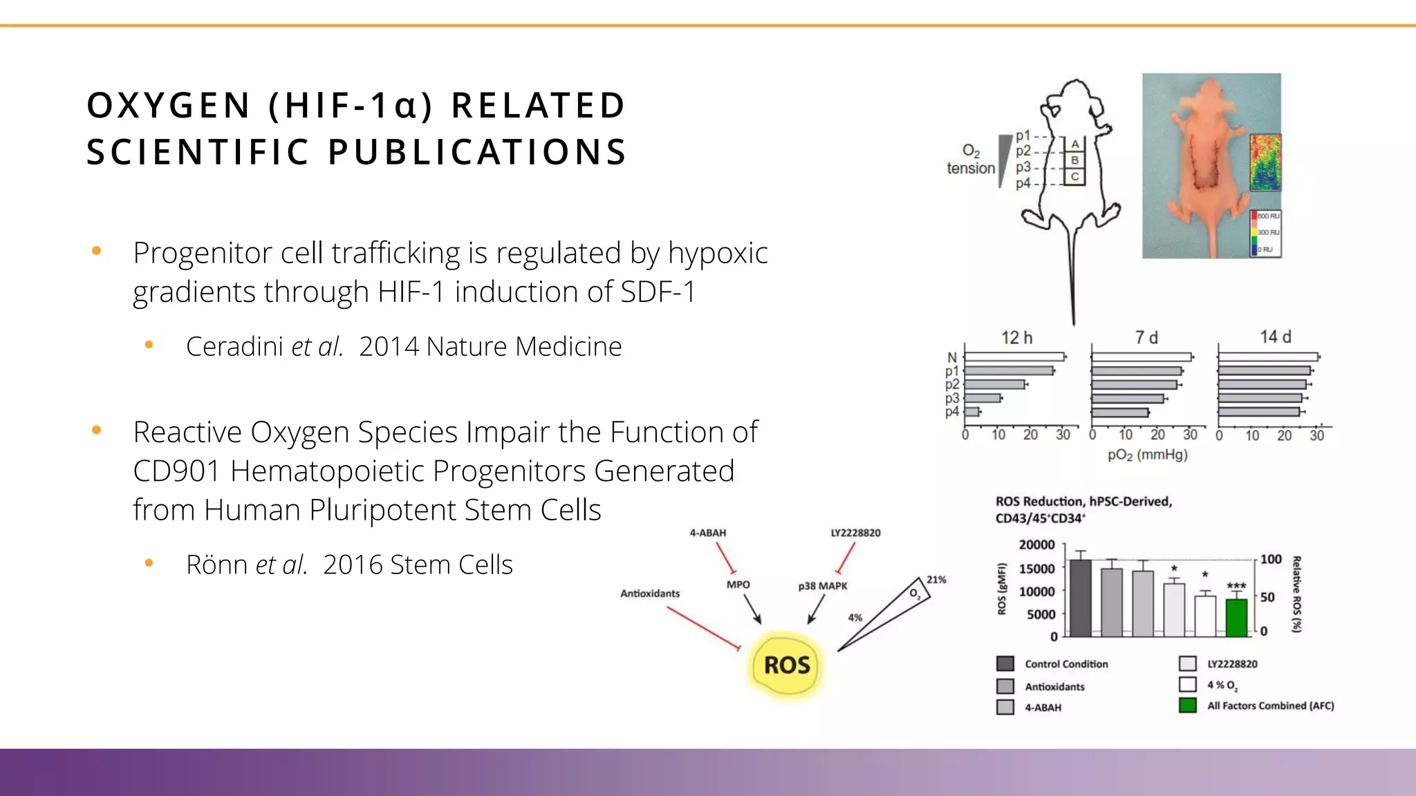 What is hyperoxia, normoxia and hypoxia to cells: Why researchers ...