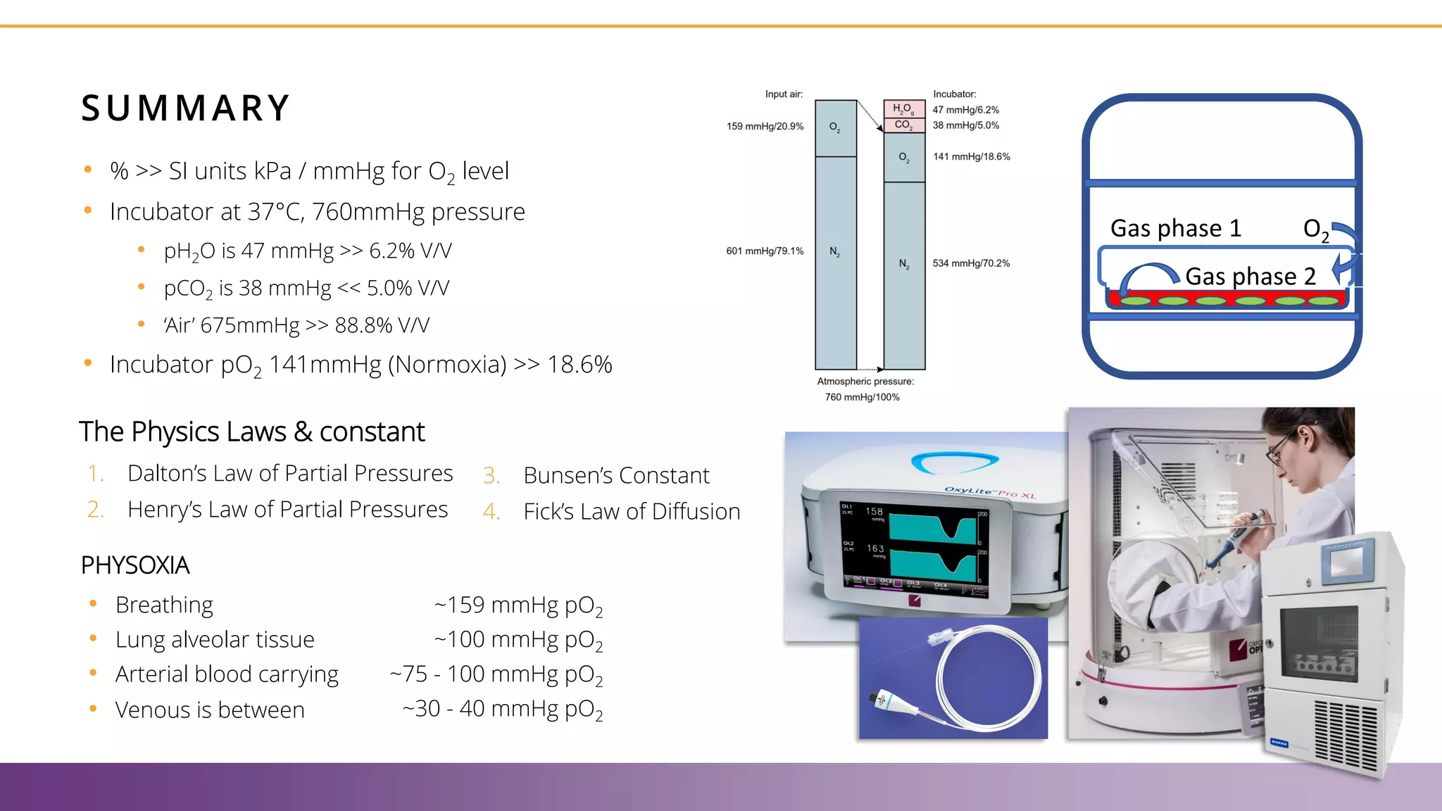 What is hyperoxia, normoxia and hypoxia to cells: Why researchers ...