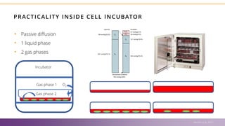 What is hyperoxia, normoxia and hypoxia to cells: Why researchers ...