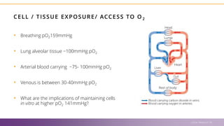 What is hyperoxia, normoxia and hypoxia to cells: Why researchers ...
