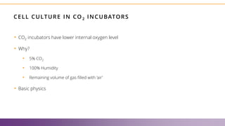What is hyperoxia, normoxia and hypoxia to cells: Why researchers ...