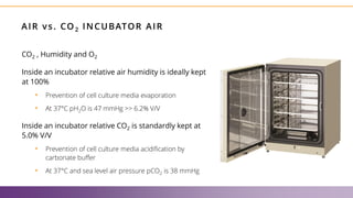 What is hyperoxia, normoxia and hypoxia to cells: Why researchers ...