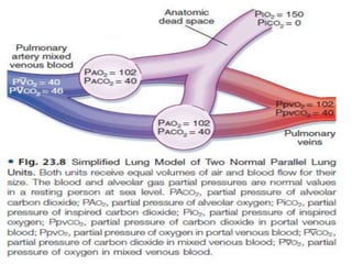 hypoxia and hypercapnia.pptx
