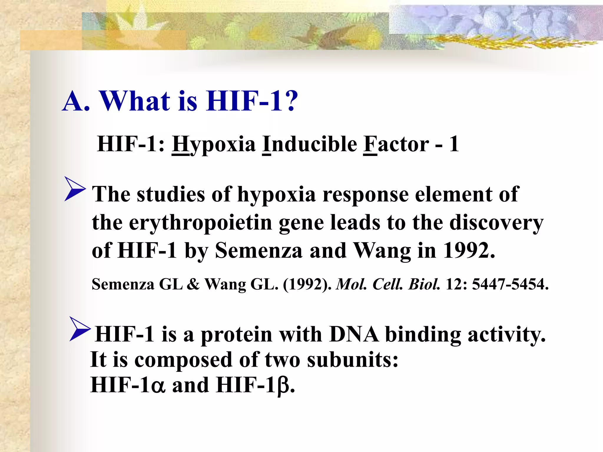 Hypoxia (HIF) as a major target of cancer therapy | PPTX