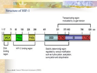 Hypoxia (HIF) as a major target of cancer therapy | PPTX