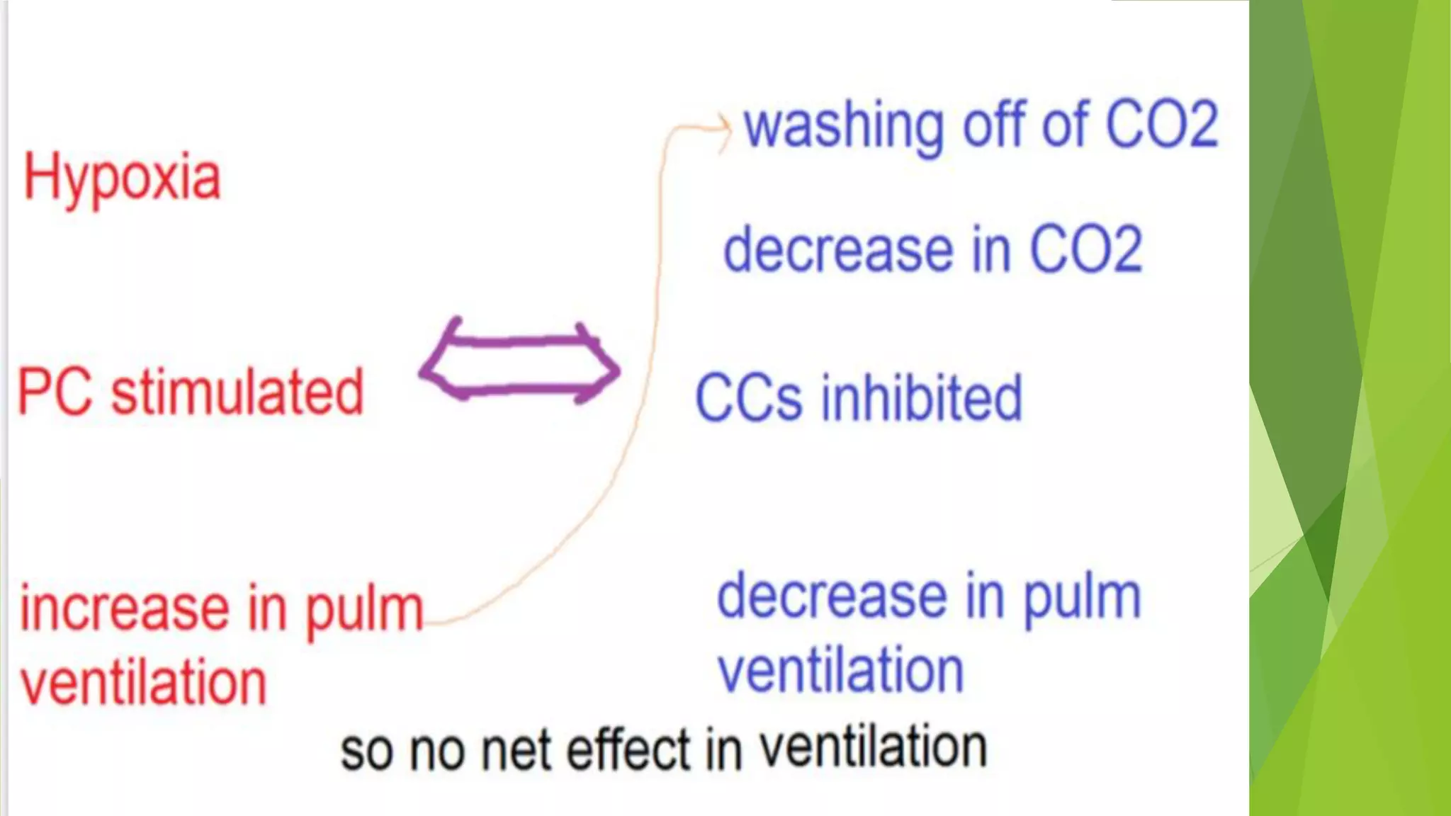 Hypoxia - Respiratory physiology | PDF