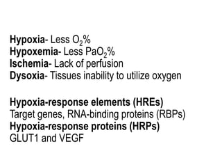 Hypoxia in periodontal disease | PPT