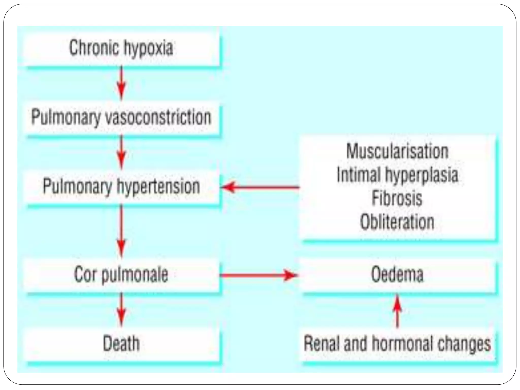 Hypoxia | PPTX