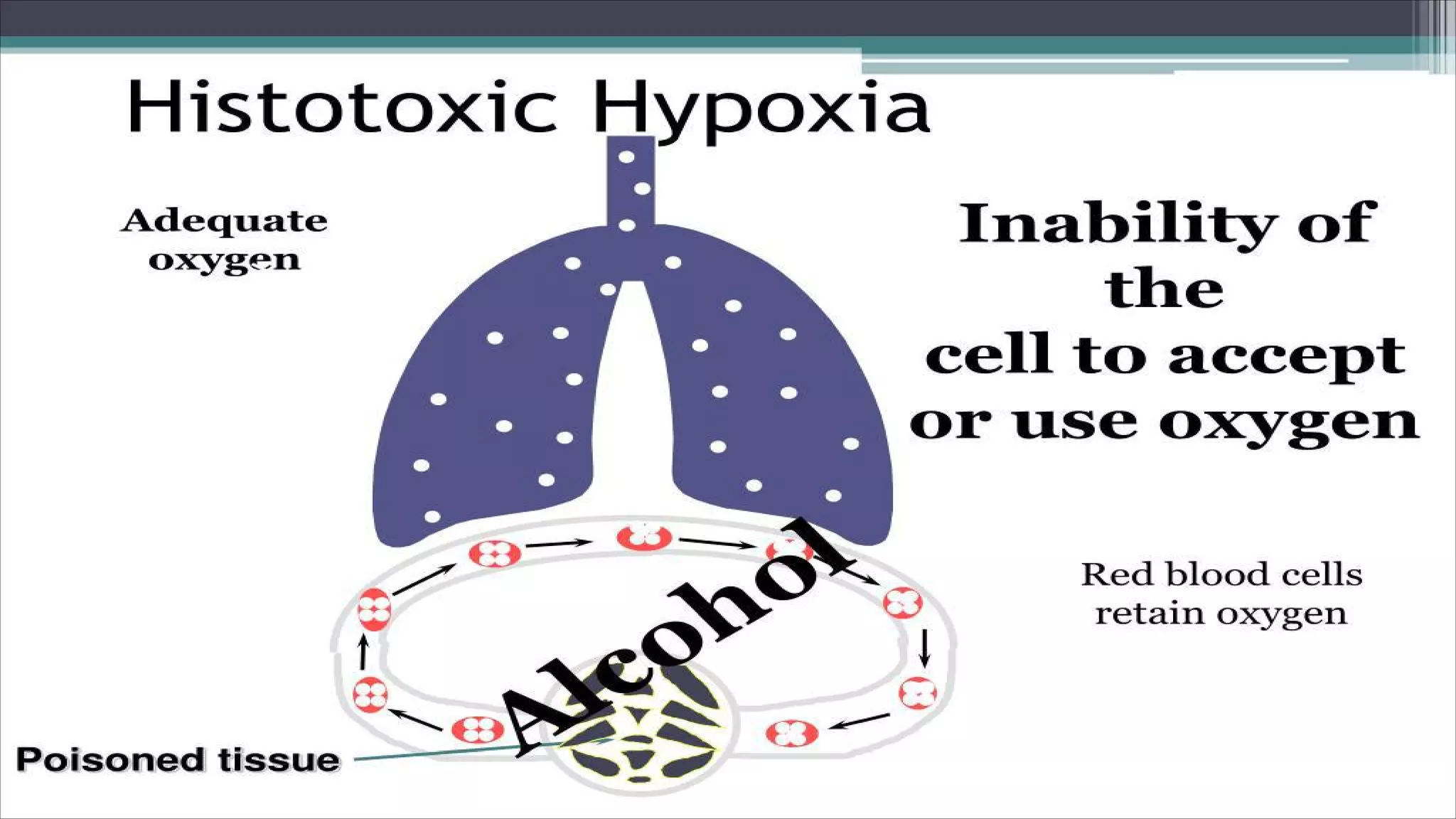 Hypoxia Respiratiory System; causes, classification, symptoms | PDF