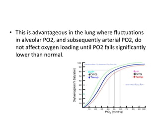 Hypoxia today | PPT