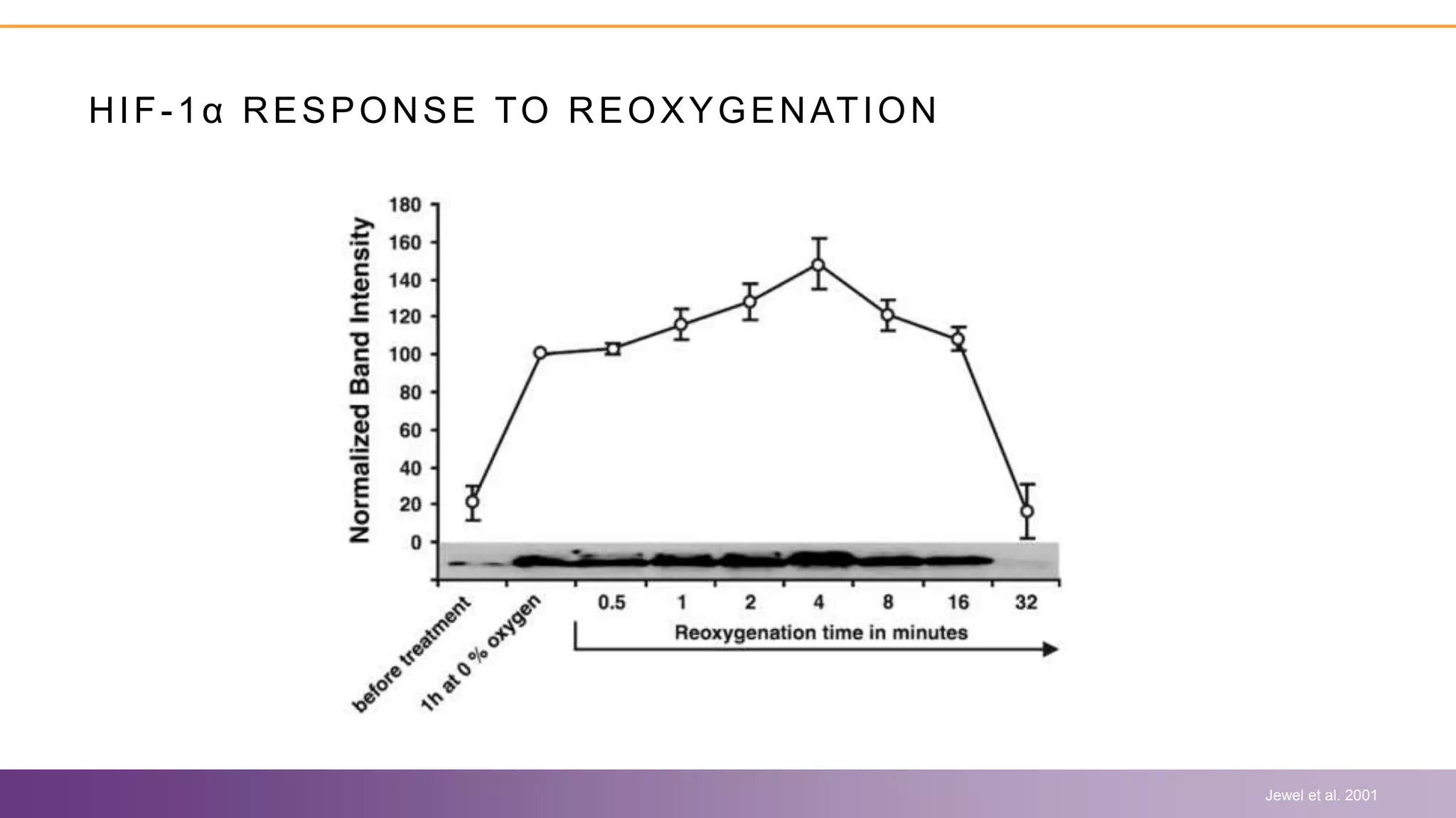 What is hyperoxia, normoxia and hypoxia to cells | PPTX